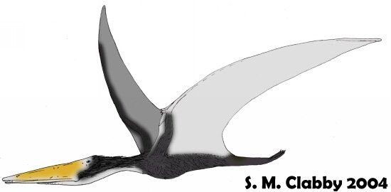 DinoWight - Istiodactylus, an Isle of Wight istiodactylid pterosaur