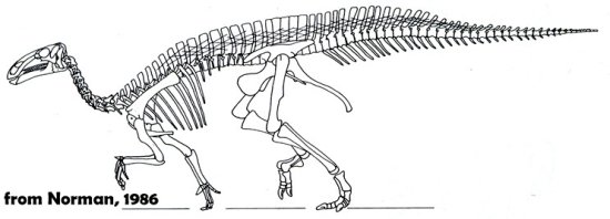 Mantellisaurus - Alchetron, The Free Social Encyclopedia